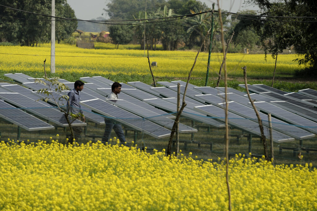 GEAPP paves yellow brick road for PM KUSUM scheme | Global Energy ...
