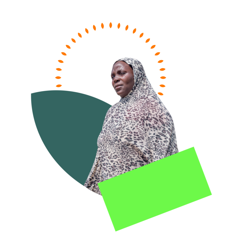 Mission 300 Africa Energy Summit secures historic country commitments ...