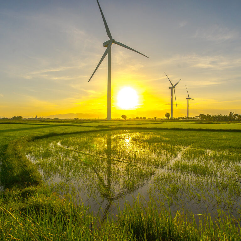 Pioneering Innovation with Vietnam's BESS Pilot Project | Global Energy ...