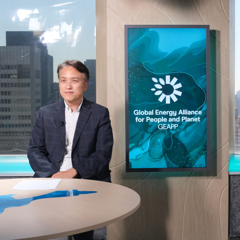 Office of the CEO | Global Energy Alliance for People and Planet