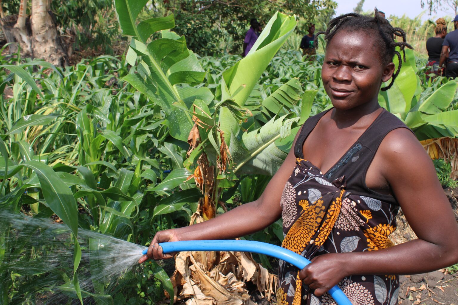 SunCulture: Empowering Africa’s Farmers Through Solar-Powered ...